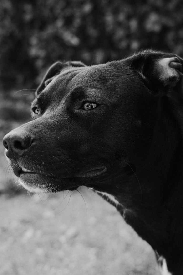 Depression and why hymns and worship songs struggle to get it right ...