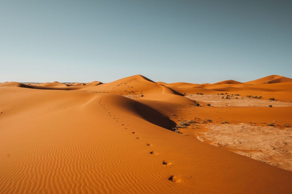 What would you need to survive in the desert? – Faithroots